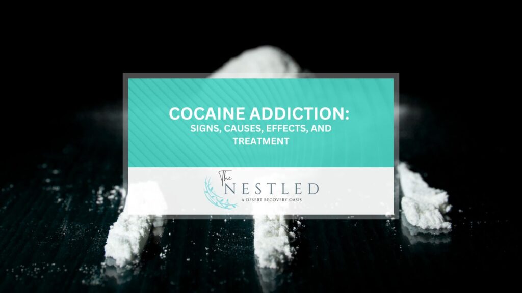 Cocaine Addiction: Signs, Causes, Effects, And Treatment | The Nestled ...