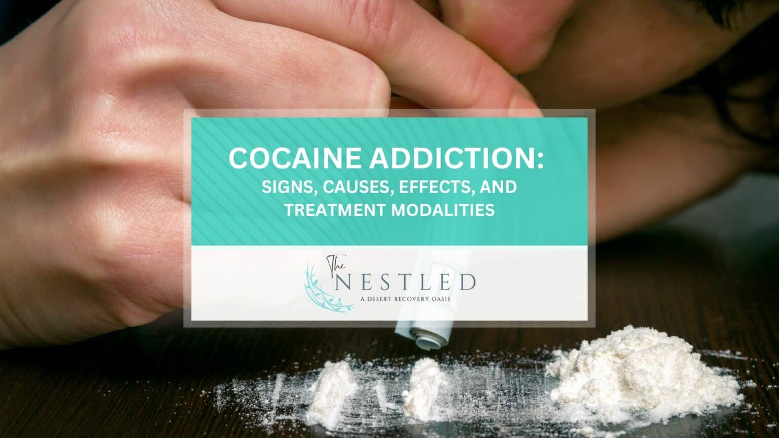 Cocaine Addiction: Signs, Causes, Effects, and Treatment Modalities | The Nestled Recovery Center
