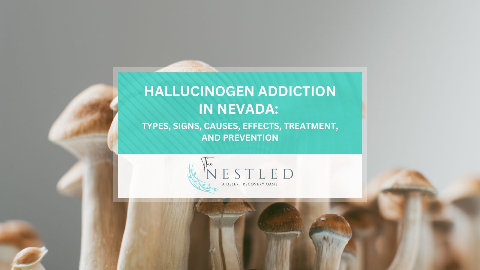 Hallucinogen Addiction: Signs, Causes, Effects, Treatment, and Prevention