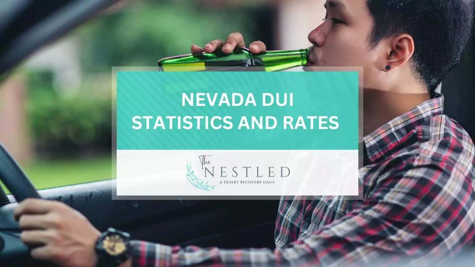 Nevada DUI Statistics and Rates | The Nestled Recovery Center