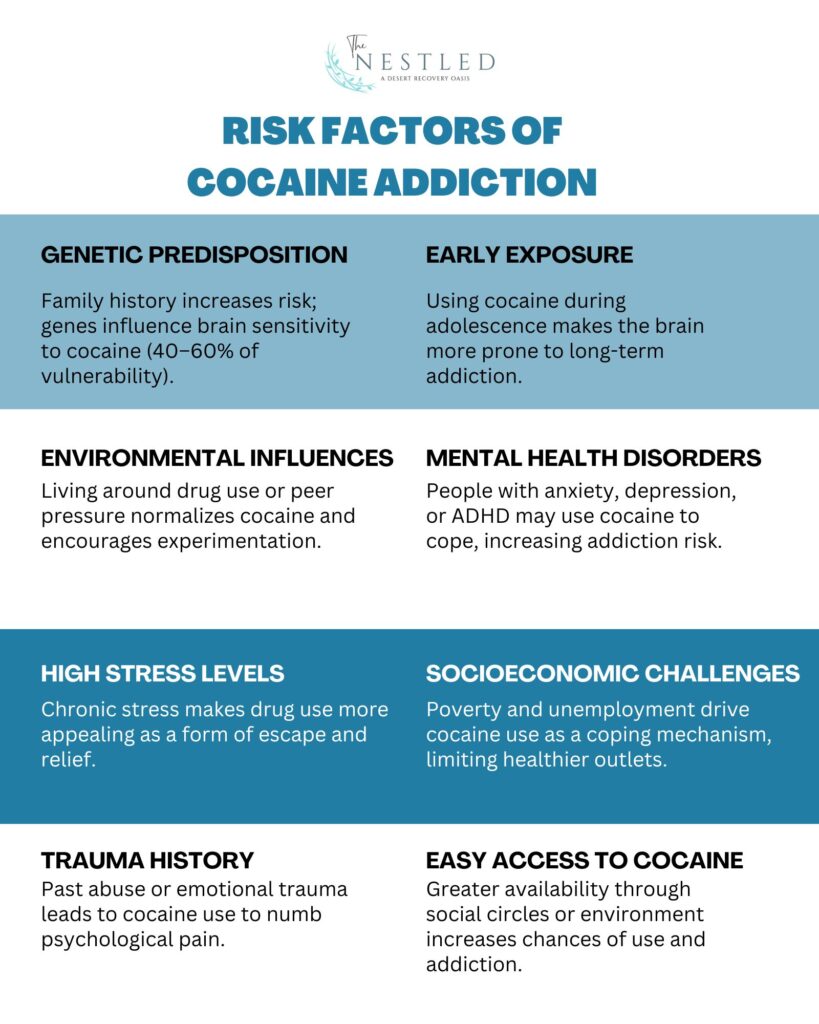 Cocaine Addiction: Signs, Causes, Effects, And Treatment | The Nestled Recovery Center