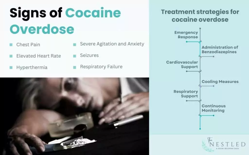 Cocaine Addiction: Signs, Causes, Effect, And Treatment | The Nestled Recovery Center