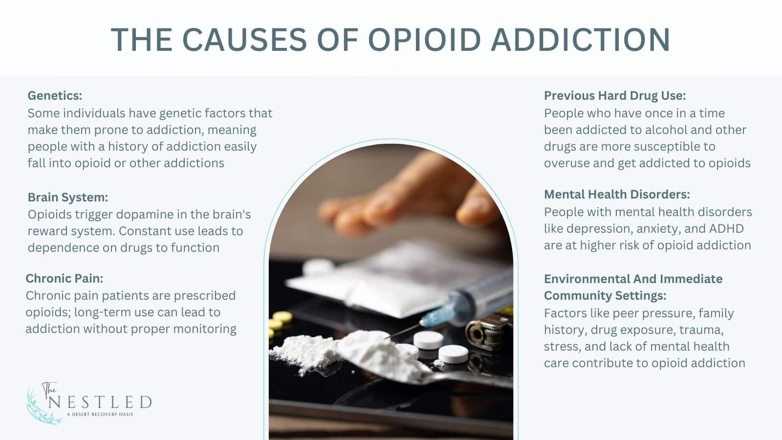 Opioid Addiction: Definitions, Symptoms, Types, Causes, Effects, And Treatment Approaches | The ...