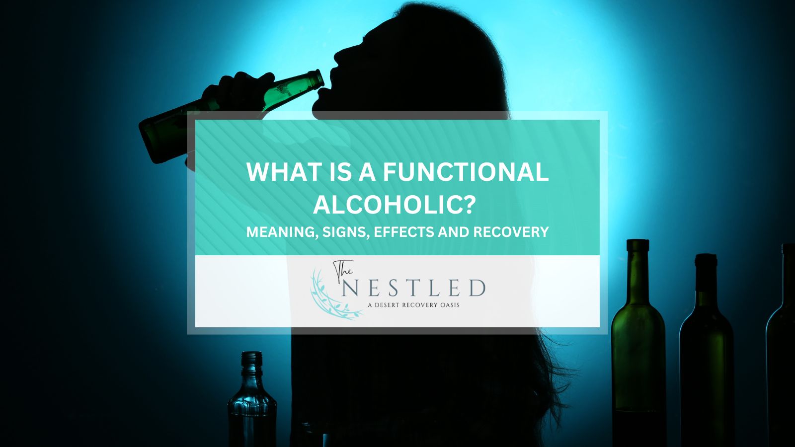 What Is a Functional Alcoholic? Meaning, Signs, Effects, and Recovery ...
