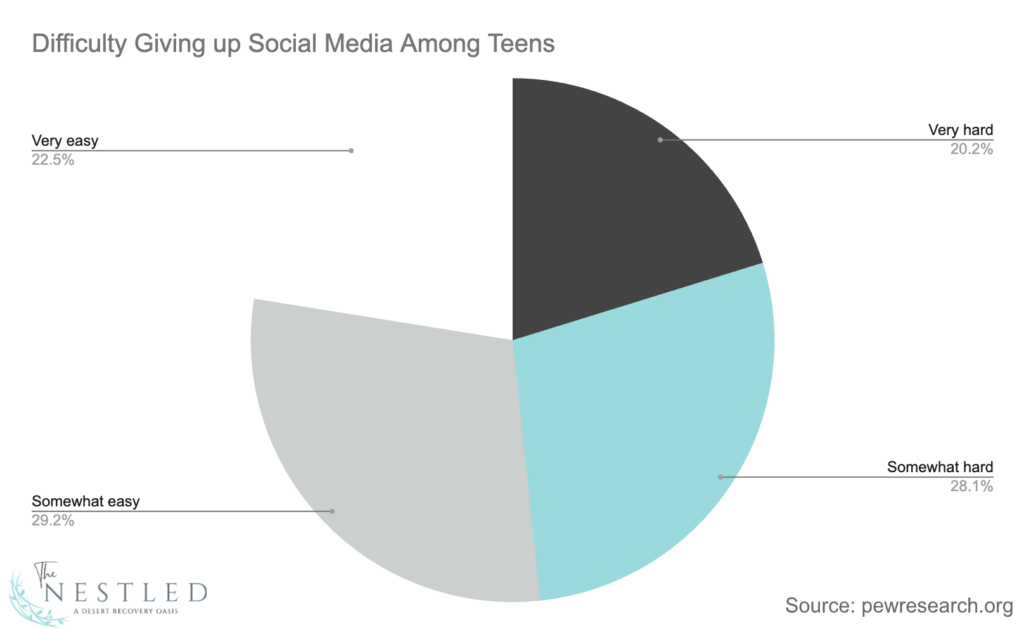 Internet/Cyber Addiction Statistics in the United States | The Nestled ...